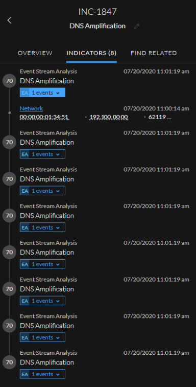 Incident Details View